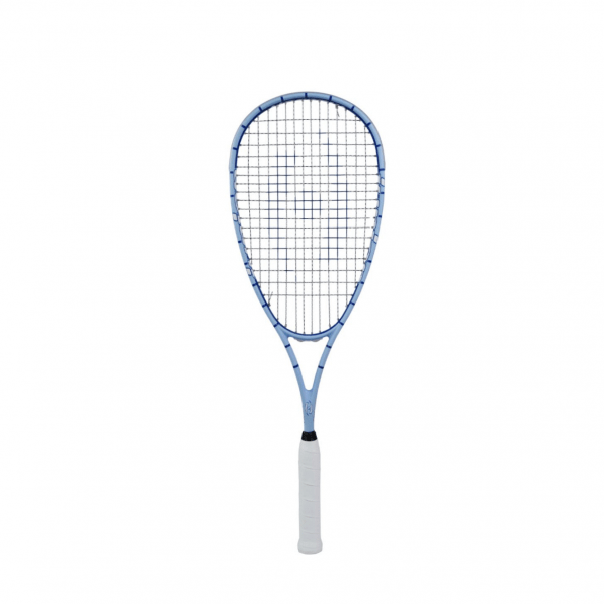 DUNLOP Force Evolution 120 squash racket – Squash Buddy – Everything ...